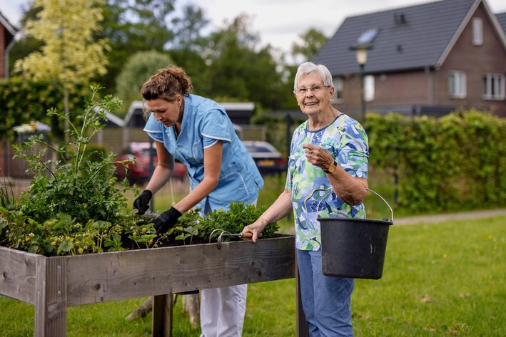 Zorgondersteuner ouderenzorg en gehandicaptenzorg bij Alliade